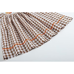 Lil cactus Light Brown Gingham Pumpkin Turkey Smocked Bishop Dress, Brown Turkey, 3-6 Months