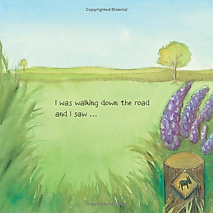 NEW RELEASE! Wonky Donkey Series Set (5 Books)