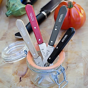 Opinel Essentials Kitchen Knives Box Set - Loft