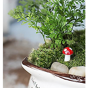 Exasinine 60 Pcs Mini Mushroom Tiny Mushroom Resin Mushroom Decor Miniature Figurines Fairy Garden Miniature Moss Landscape DIY Terrarium Crafts for Home DéCor