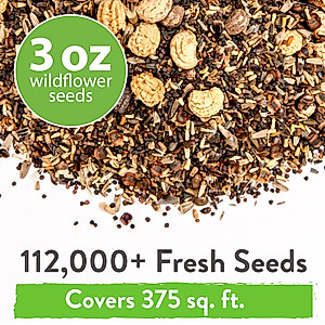 HOME GROWN 112,000+ Wildflower Seeds: Bulk Mix of 21 Varieties, Non-GMO Wild Flower Seed | Bee and Butterfly Garden Variety Pack | Annual Flowers Seeds for Planting |Native Wildflowers for Your Garden