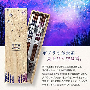 Rensekka couple chopsticks box set made in Japan Hokkaido gift Wakasa lacquerware