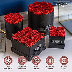 Immortal Fleur Preserved Roses In A Box | Real Preserved Flowers | Unique Real Roses for Delivery Prime | Forever Roses Box | Fresh Flowers for Delivery Prime Next Day | Mom Birthday Gifts from Daughter | Sympathy Flowers for Delivery Prime Birthday