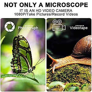 Bysameyee 4K 3840x2160P Wireless Digital Microscope, Handheld HD USB Inspection Camera Endoscope 50x-1000x Magnification, Compatible with iPhone iPad Android Phone Tablet Windows Mac (with Stand)