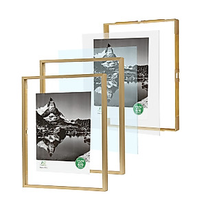 FrameWorks 11”x14” Deluxe Brass Gold Aluminum Contemporary Style Floating Picture Frame with Tempered Glass