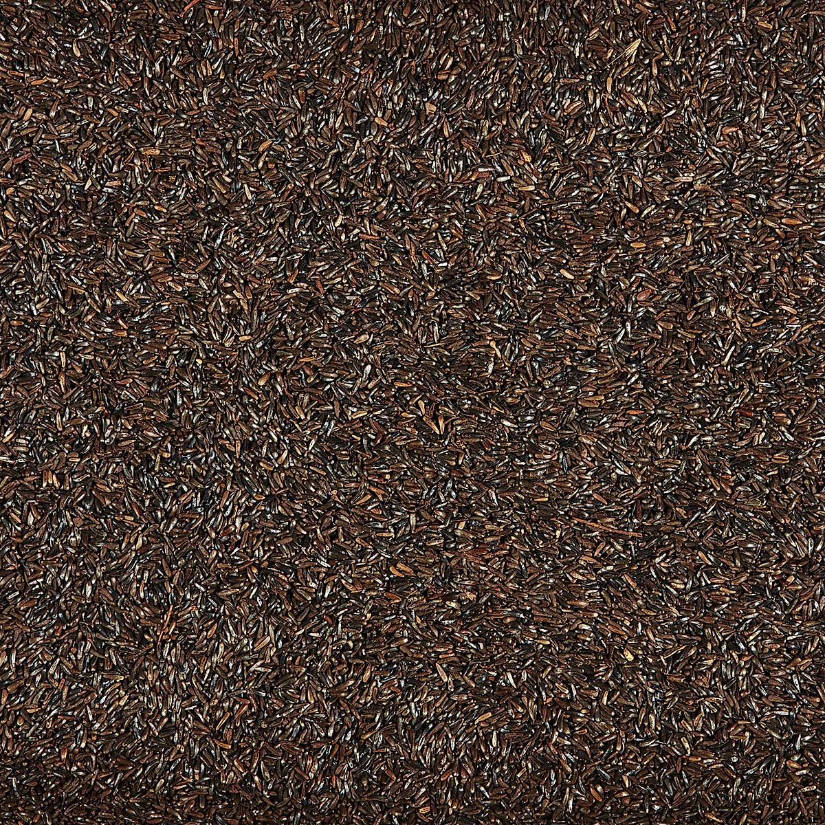 Kaytee Nyjer Wild Bird Food Seed, 8 Pound