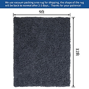 BALAPET 9x12 Fluffy Modern Plush Area Rug, Ultra Soft Large Faux Fur Area Rug for Bedroom Living Room, Non-Skid Indoor Carpet for Kids Playroom Home Decor, Dark Grey