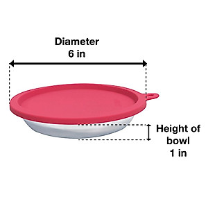 Messy Cats 4pc Set with Two Stainless Saucer Shaped Bowls and Two Silicone Lids, 1.75 Cups Per Bowl, Watermelon and Purple Lids
