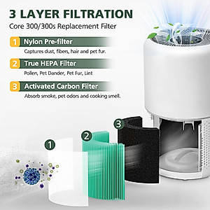 Core 300 Toxin Absorber Replacement Filter for LEVOIT Core 300 Core300-P Core 300S Core 300S-P VortexAir Air Purifier, 3-in-1 HEPA and Activated Carbon, Core 300-RF-TX, 2 Pack, Green
