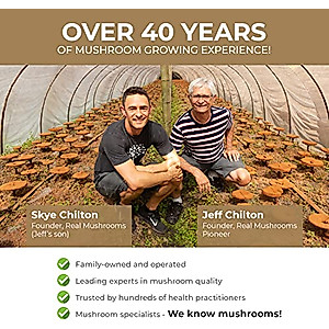 Organic Lions Mane Mushroom Powder Supplement - Improve Cognitive and Immune Support - Gluten Free Powder Extract