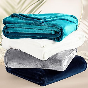 DREAMNINE Extra Soft Plush Fleece Throw Blanket for Couch Sofa 50" x 60", Decorative Solid Lightweight Velvet Blanket for Chair, Cozy Accent Shaggy Minky Fuzzy Flannel Blanket for Bedroom Dorm, Grey