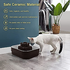 Ceramic Cat Water Fountain,SIBAYS 3L Pet Water Fountain, Automatic Cat Water Dispenser,Automatic Ceramic Drinking Fountain for Pets, Easy to Disassemble and Clean(Coffee)