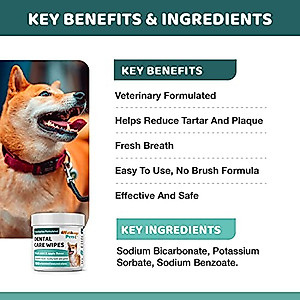Wellnergy Pets Dental Wipes for Dogs and Cats - No Brush Formula; Improve Oral Hygiene and Health; Freshen Breath; Fresh Mint Flavor. 100 Wipes.
