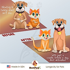 Best Paw Nutrition Dog & Cat Premium Probiotic Prebiotic & Digestive Enzymes 5 Billion CFU Organic Turmeric Coconut Oil Pure Pumpkin & Kelp for Healthy Bowels Gut & UTIs