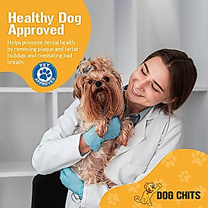 Dog Chits Lamb Ears Dog and Puppy Treats - All Natural Grain and Chemical Free Training Chews - High Protein and Low Fat - Supports Dental Health - Made in The USA - 25 Pack