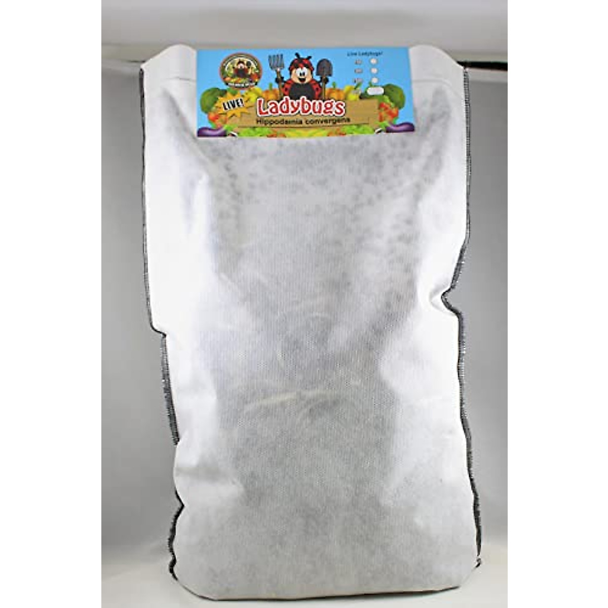 Natures Good Guys - Live Ladybugs (18,000 Live Ladybugs)