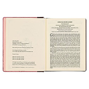 KJV Holy Bible, Note-taking Bible, Faux Leather Hardcover - King James Version, Brown/Pink