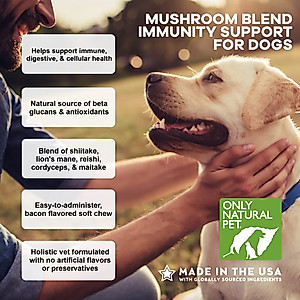 Only Natural Pet Mushroom Blend Immune System Support Supplement for Dogs - Boost Healthy Cellular, Digestive, & Liver Function - Multivitamin Beta-Glucan & Antioxidant - Bacon Flavor 60 Soft Chews