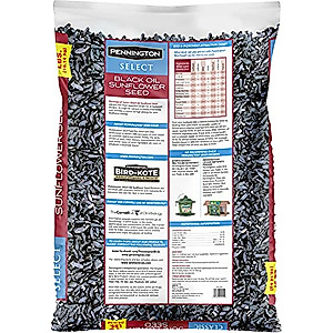 Pennington Select Black Oil Sunflower Seed Wild Bird Feed, 40 lbs