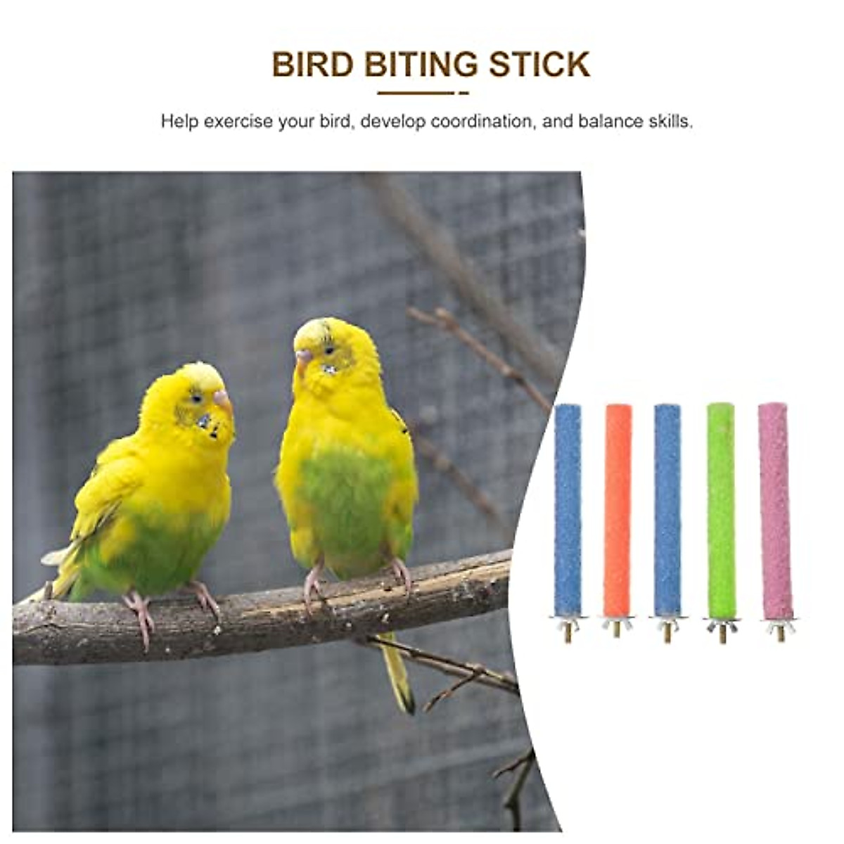 5pcs Grinding Budgies Wooden Parakeets Hanging Stand Conure Food Accessories Cage Cockatiel Balance Bird Climbing Standing for Parakeet Bowl Birdcage Toy: Bite Cockatiels Natural