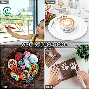 Adanluxe Metallic Wine Glass Markers, Set of 10 Food Grade Non-Toxic Window Markers for Glass Washable, Premium Paint Pens Used on Car Window, Mirror, Ceramic, Black Scrapbook, Rock and Wood,Glass Pen