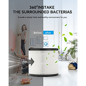 Air Purifier Filter for Tailulu 160 Air Purifier, 3-in-1 True H13 HEPA Filter, 1 Pack