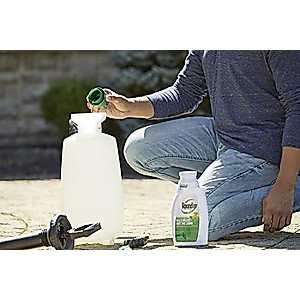 Roundup For Lawns2 Concentrate (Northern), 32 oz. - Lawn Safe Weed Killer for Northern Lawns, Kills Crabgrass, Dandelion, Clover and Yellow Nutsedge - Kills Weeds, Not the Lawn