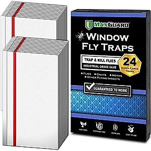 MaxGuard Window Fly Traps (24 XL Traps) Catch & Kill Houseflies, Flying Insects & Bugs. Non-Toxic Sticky Glue Traps Fly Killer Clear Strip Insect Catcher Safe No Zapping with Zapper |