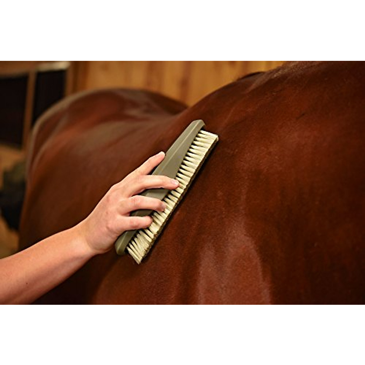 WAHL Professional Animal Equine Soft Body Horse Brush, Black (858704)