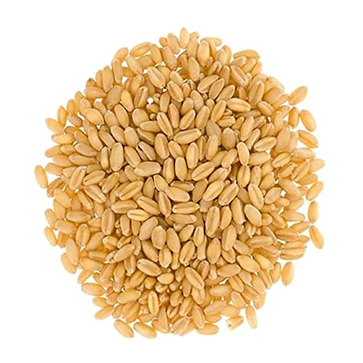 Soft White Wheat Berries | 5 LBS | Family Farmed in Washington State | 100% Desiccant Free | Non-GMO Project Verified | 100% Non-Irradiated | Kosher | Field Traced | Burlap Bag