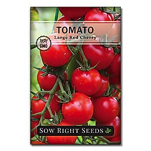 Sow Right Seeds - Large Red Cherry Tomato Seed for Planting - Non-GMO Heirloom Packet with Instructions to Plant a Home Vegetable Garden - Great Gardening Gift (1)