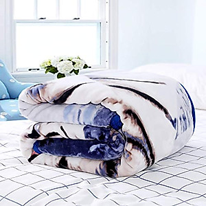 Faux Fur Throw Blanket Queen Size - 75"x90" Soft Plush Warm Faux Mink Bed - Blankets (Queen (75"x90"), Snow Tigers)