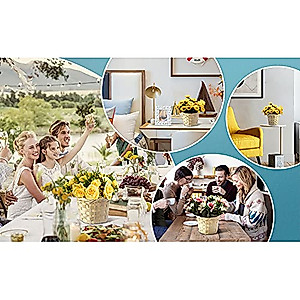 LWNOOH Desktop Bamboo Weaving Storage Basket, 6 Pieces Small Household Bamboo Wood Woven Storage Box for Debris Crafts Toys Jewelry Organizer Desk Decoration Desktop Flower Pot Garbage Can