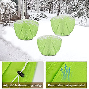 ANPHSIN 3 Pcs Green Plant Freeze Protection Covers- 39.3 × 19.6 Inch Horizontal Shrub Tree Plant Protection Wraps Covers Bags Frost Blanket with Drawstring for Winter Outdoor Garden Plants