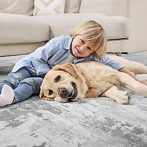 8 x 10 Area Rugs for Living Room-Non Slip Area Rug Machine Washable Rug Carpet Ultra Soft Shaggy Fluffy Rug Abstract Modern Rug for Bedroom Playroom Dining Room Office Under Bed Table