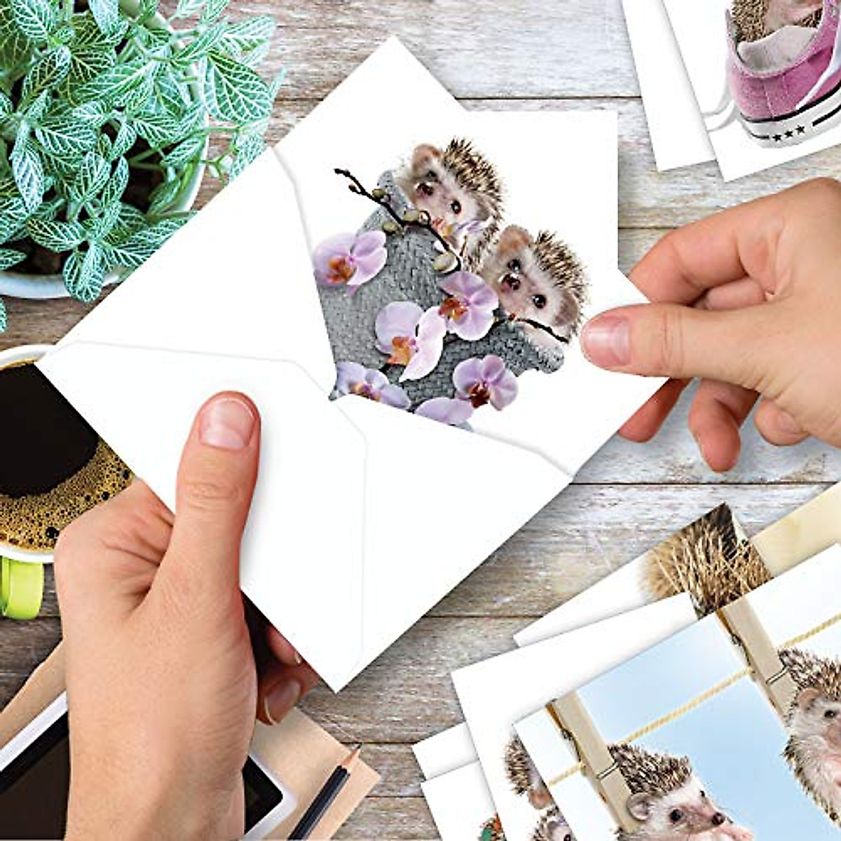 The Best Card Company - 10 Blank Animal Cards Boxed (4 x 5.12 Inch) - Assorted Pets, Zoo, Wildlife Cards for Kids - Cards from the Hedge M6541OCB