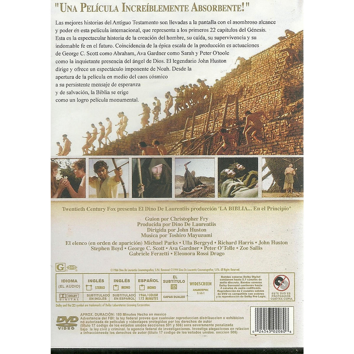 The Bible: In the Beginning