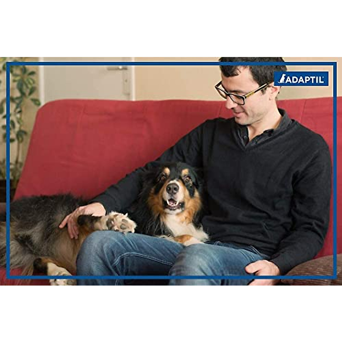 ADAPTIL Dog Calming Pheromone, 30 Day Refill - 1 Pack