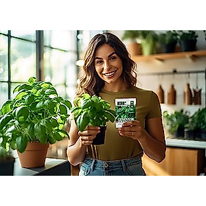 Genovese Basil Seeds for Planting - Heirloom Non-GMO USA Grown - 150+ Seeds - Premium Sweet Basil Seeds for Indoors or Outdoors by RDR Seeds
