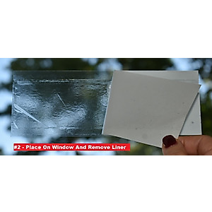 Window Fly Traps by Titan Traps - Sticky Fly Paper, Window Bug Catcher, Indoor Fly Trap, Fly Paper Bug Sticky Strips, Window Fly Strips, Bug Sticky Trap - 15 Disposable Fly Traps (1 Pack)