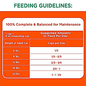 IAMS PROACTIVE HEALTH Adult Hairball Care Dry Cat Food with Chicken and Salmon Cat Kibble, 3.5 lb. Bag