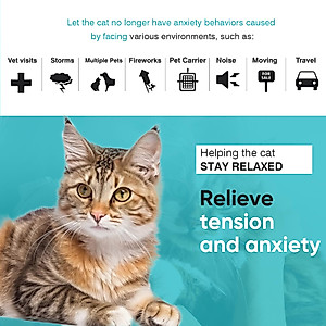 Pheromone Calming Collar Stress and Anxiety Relief Lasts 30 Days Calming Collar for Cats Cat Calm Collar Cat Adjustable Appeasing Calming Collar for Kitten Kitty Calm Collar Make Cat Relaxed 4 Pack