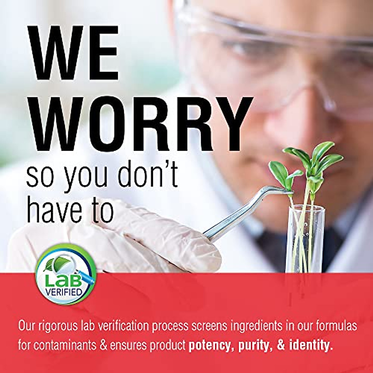 SOLARAY Acetyl L-Carnitine 500 mg | Healthy Cellular Energy, Memory, Mood, and Cardiovascular Support | 30 VegCaps