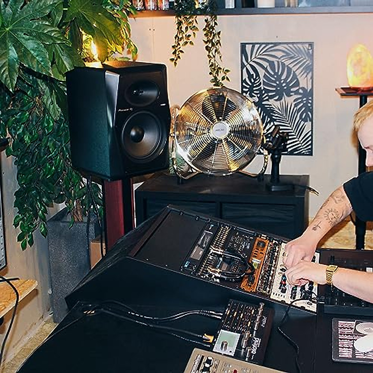 Pioneer DJ VM-50 5.25-inch Active Monitor Speaker - Black