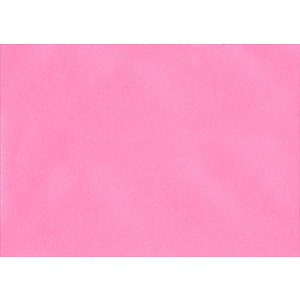 Audrey Hepburn Dog with Pink Glasses in Focus Feminine Birthday Card for Her/Woman