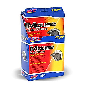 PIC GMT-4F Mouse Glue Trap, Baited Glue Traps with Sticky Adhesive, Sticky Mouse Traps for Indoors, Trampas para Ratones Pest Control Trap, Easy to Set, Non-Toxic, Disposable, 6 Pack (24 Traps Total)