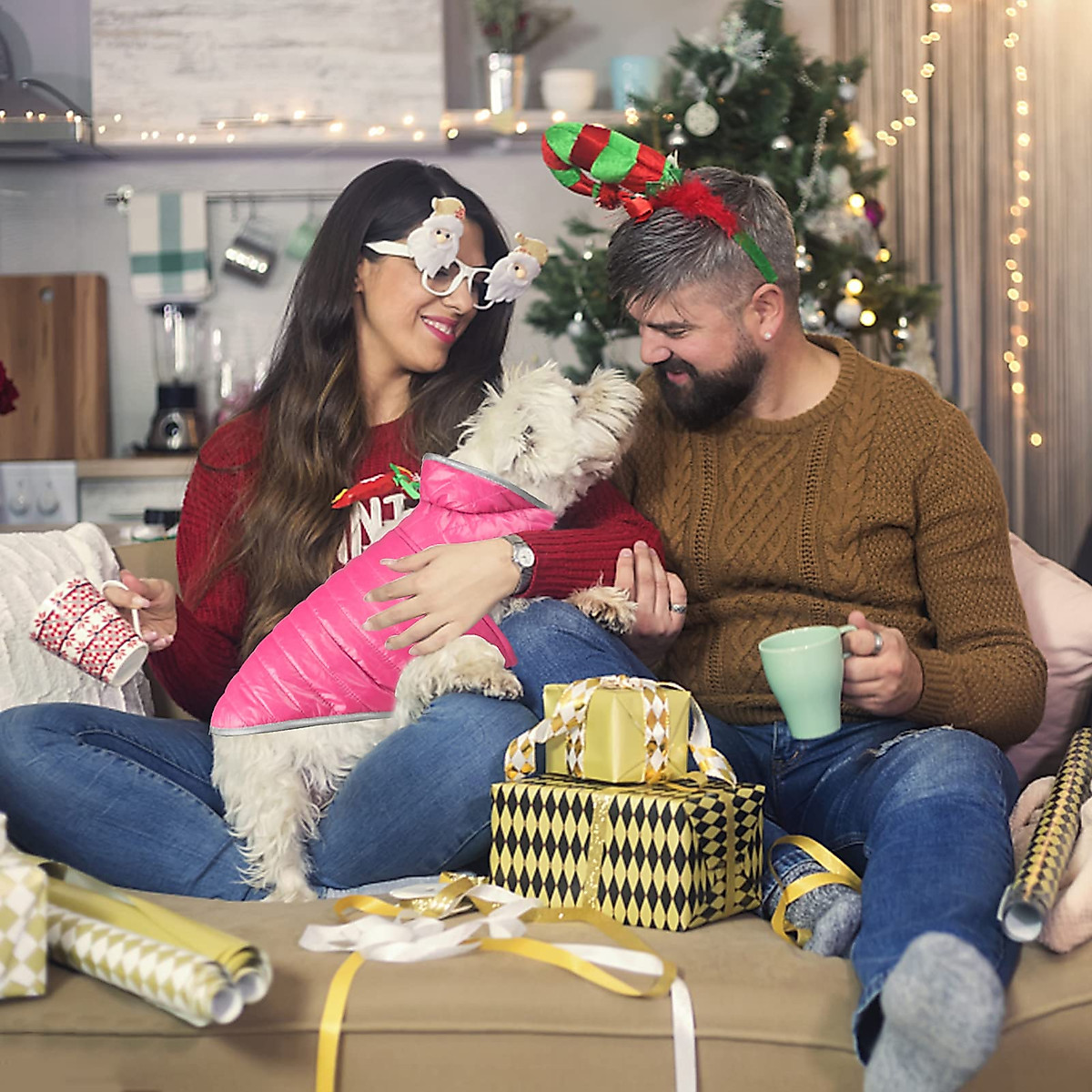 Dogcheer Dog Winter Coat Reversible, Lightweight Pet Jacket Warm Vest, Reflective Dog Clothes for Cold Weather, Waterproof Outdoor Puppy Puffer Jacket Apparel for Small Medium Large Dogs