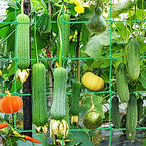 Plant Trellis Netting for Climbing Plants Outdoor Heavy Duty Plastic Garden Trellis Netting 27 Strands Plant Climbing Net Strong Support for Clematis, Cucumber,Tomatoes and Vine Plants （5.9x5.9FT）