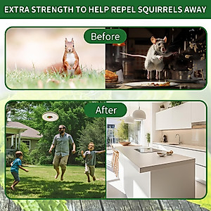 Carmelie Squirrel Repellent, Squirrel Repellent Outdoor, Chipmunk Repellent for Attic with Peppermint Oil to Repel Squirrel, Rodent, Mouse, All Natural Repellent Pouches for Indoor Outdoor, 10 Pouches