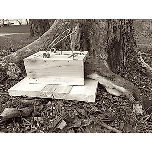 Squirrel Trapping Starter Kit for Squirrel/Chipmunk Removal in Homes Bird Feeders Attics | Little Killer Choker Style Animal Trap + Squirrel Butter + Jelly + Trail Mix Baits